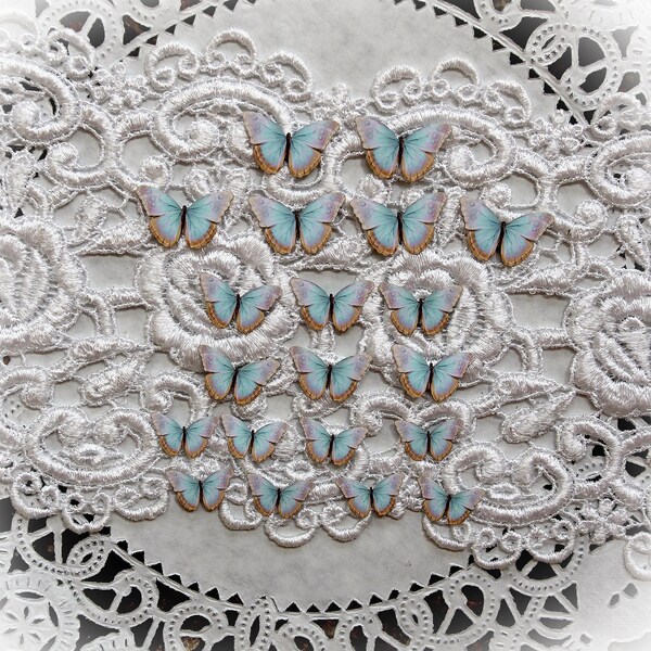 Sugar Butterflies - Etsy