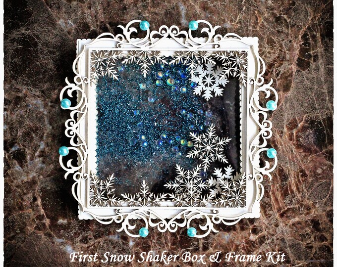 Reneabouquets Beautiful Board ~first Snow Shaker Box With Frame DIY Kit ...