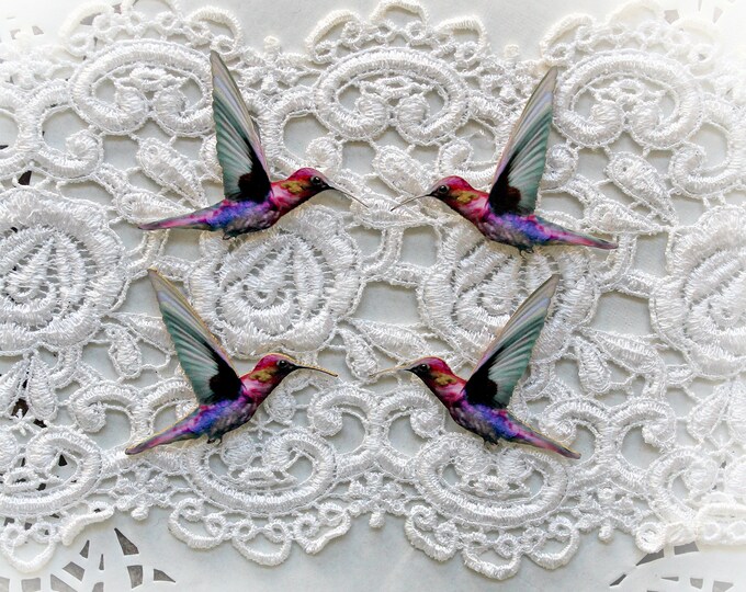 Reneabouquets Printed Beautiful Board Majestic Hummingbirds Itty Bitty ...