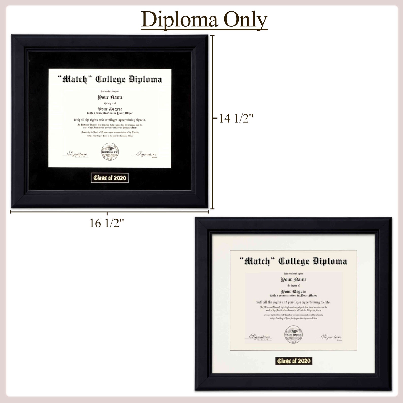 Modern Diploma Frame for 8.5x11 Diploma, Tassel, and Picture W ...