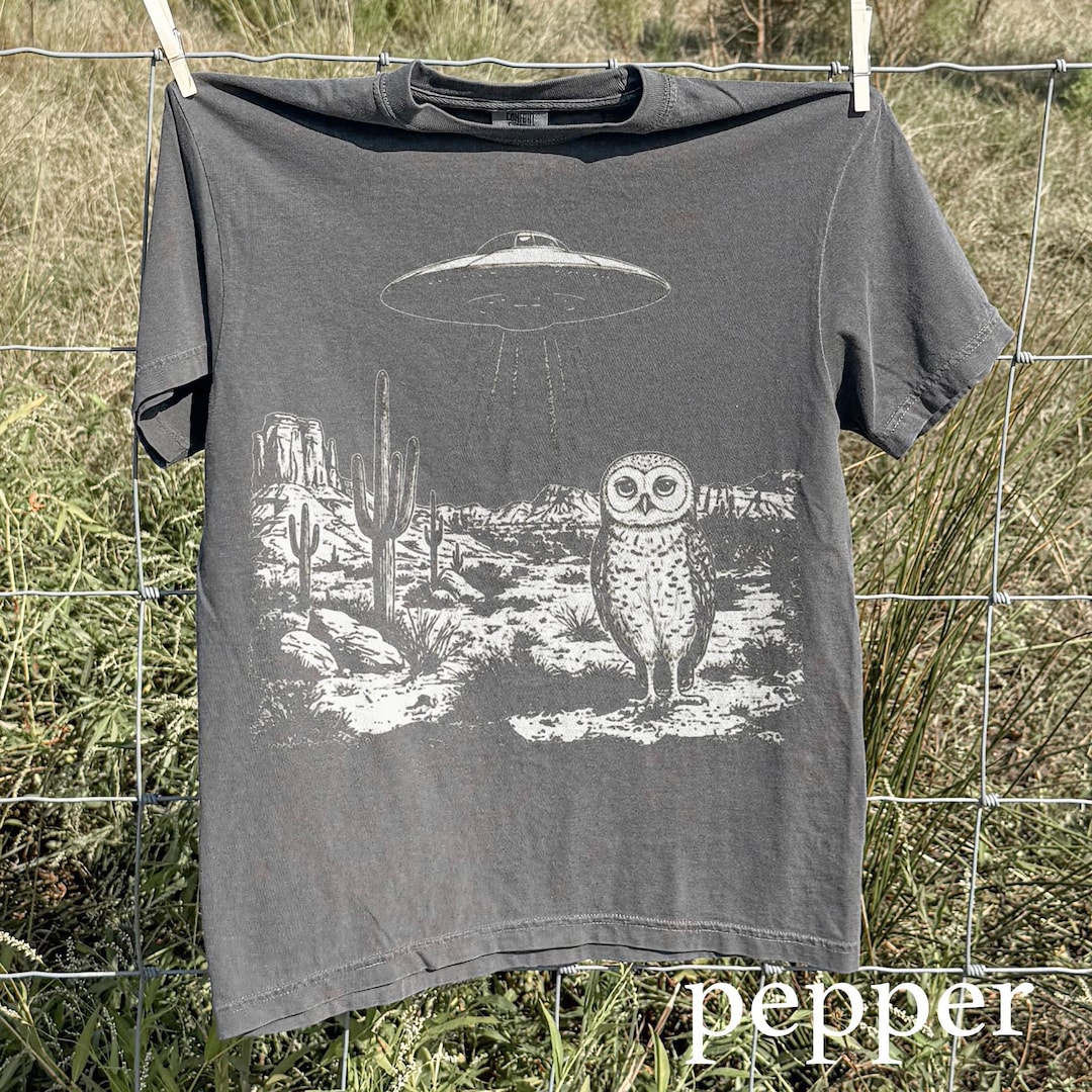 Vintage Owl Desert UFO Graphic Shirt, Retro 90s Nature Illustration ...