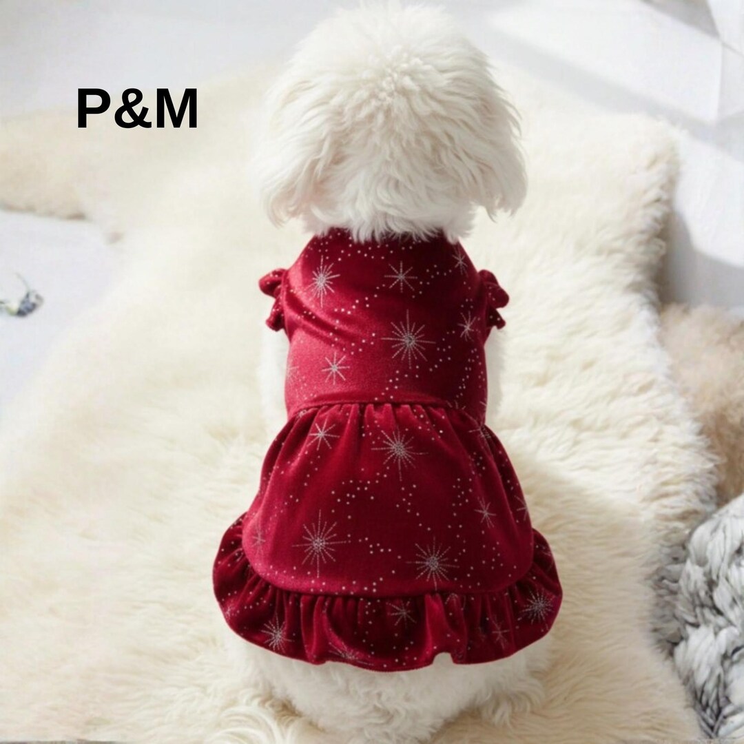 Luxury Pet Velvet Snowflake and Star Print Dress Elegant Christmas ...