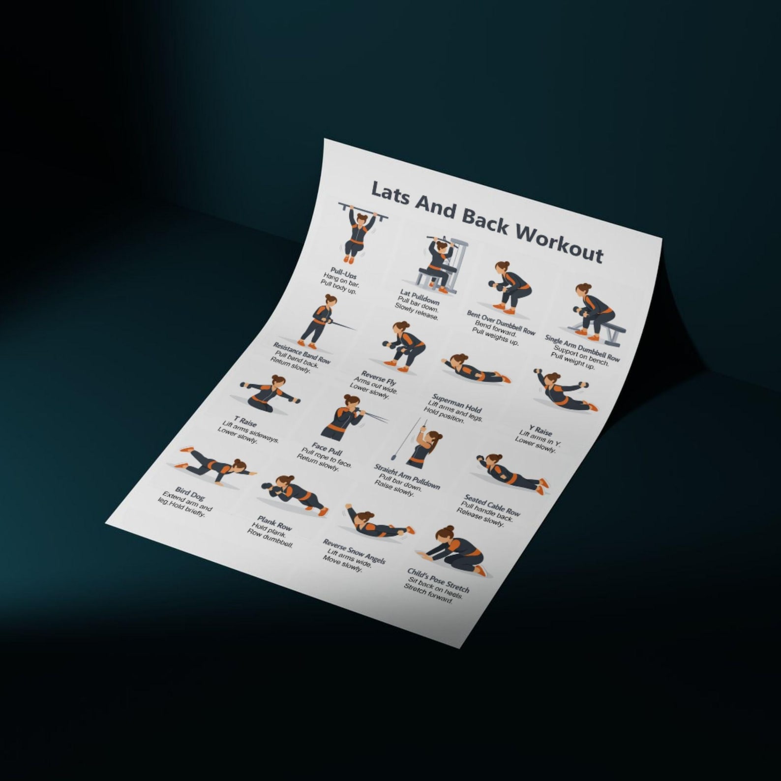 Lats And Upper Back Workout Printable Pdf Lat And Back Exercise Chart