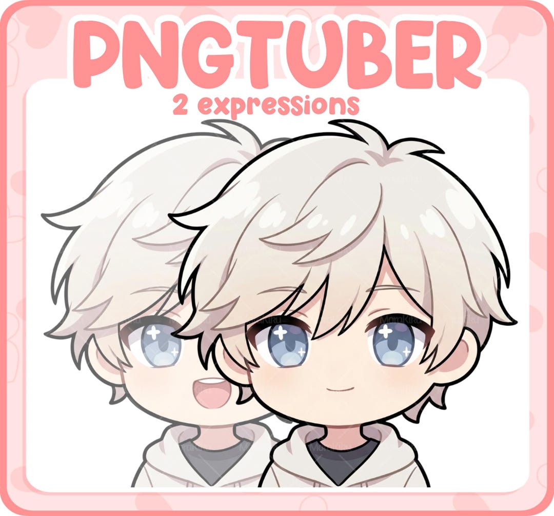White Hair Chibi Boy Pngtuber Avatar – Anime Streamer Model (digital ...