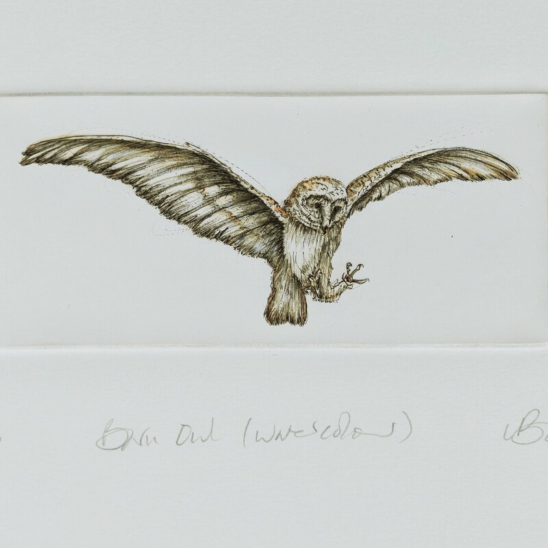 LynnBaileyPrintmaker - Etsy