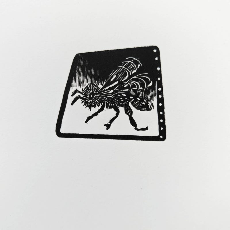LynnBaileyPrintmaker - Etsy