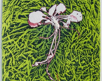 Photo etching mono print. Bug in cans Hand pulled print | Etsy