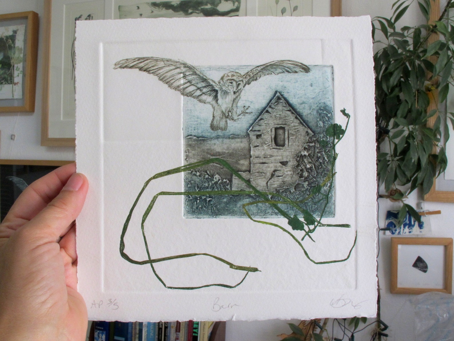 Barn Owl With Devon Barn. Collagraph, Drypoint and Monoprint - Etsy