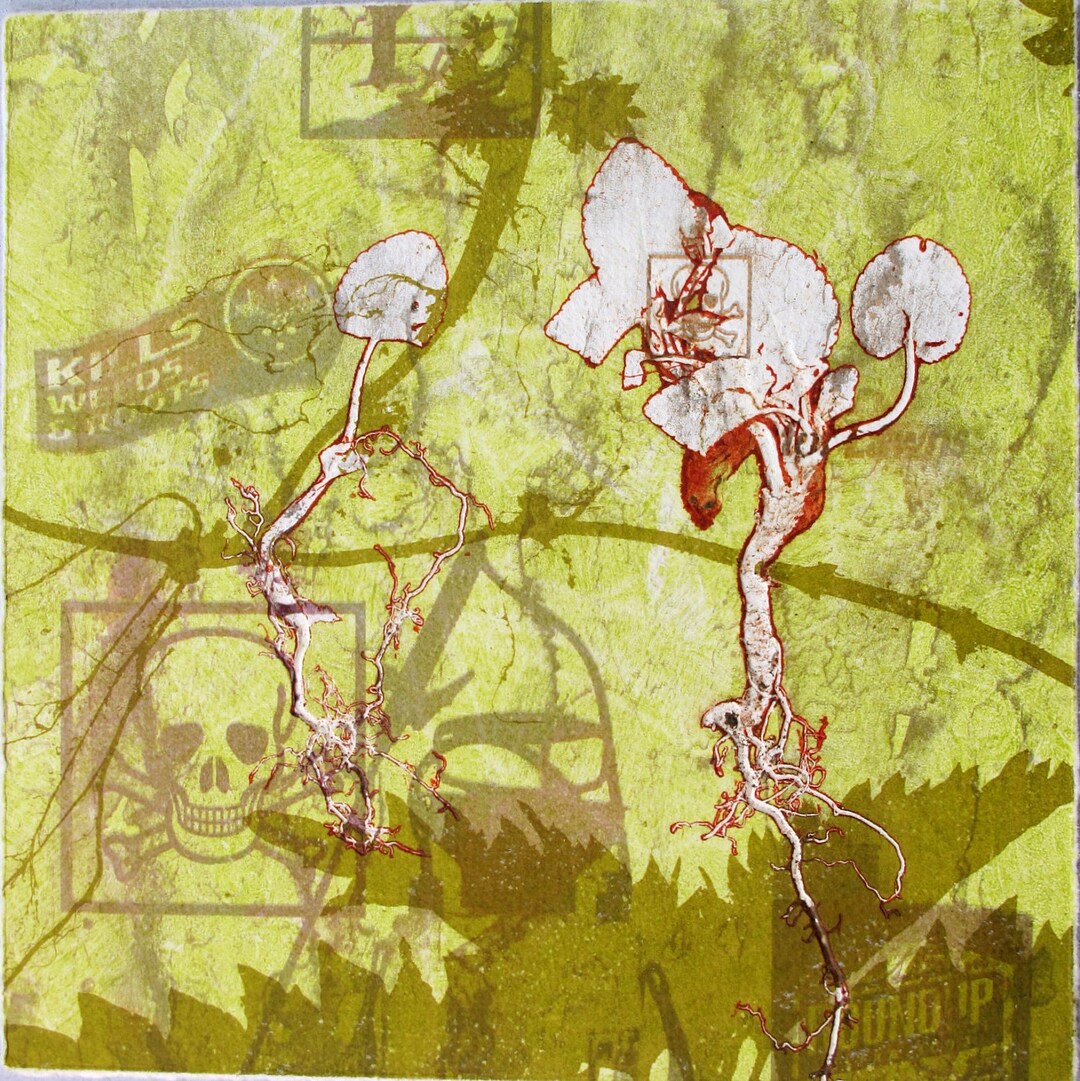 Eco Art. Skull & Cross Bones. Monoprint, Screenprint. OOAK - Etsy
