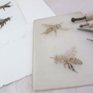2 Little Honey Bees. Drypoint Etching. - Etsy