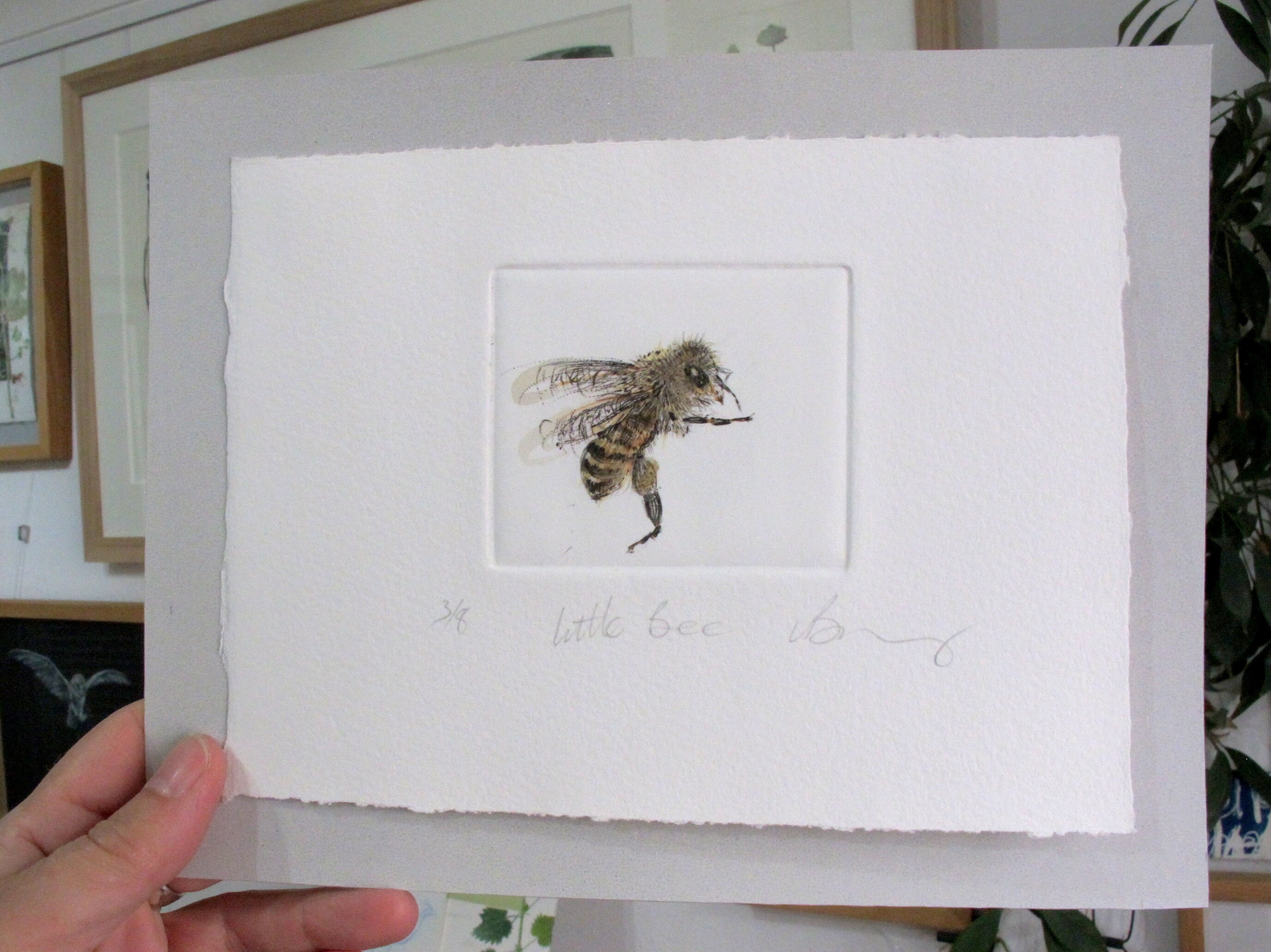 Little Bee. Drypoint Honey Bee Print - Etsy