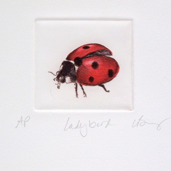 Ladybug Print - Etsy