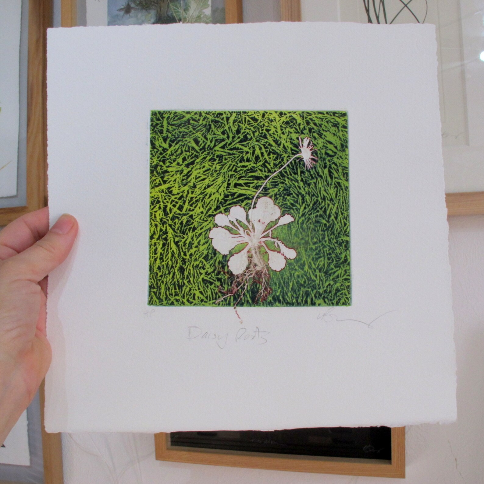 Daisy Roots. Photo Etching With Mono Print. Hand Printed. - Etsy