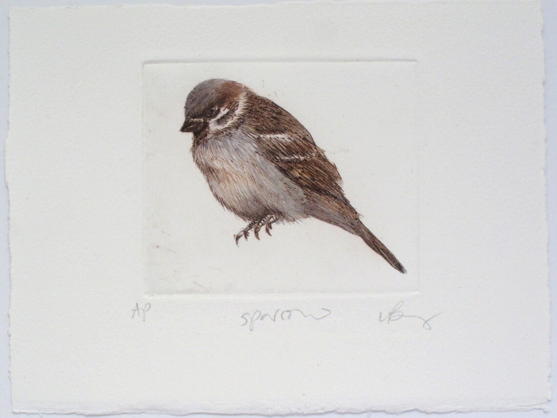 Bird Print Drypoint. Hedge Sparrow. Hand Printed and Hand - Etsy