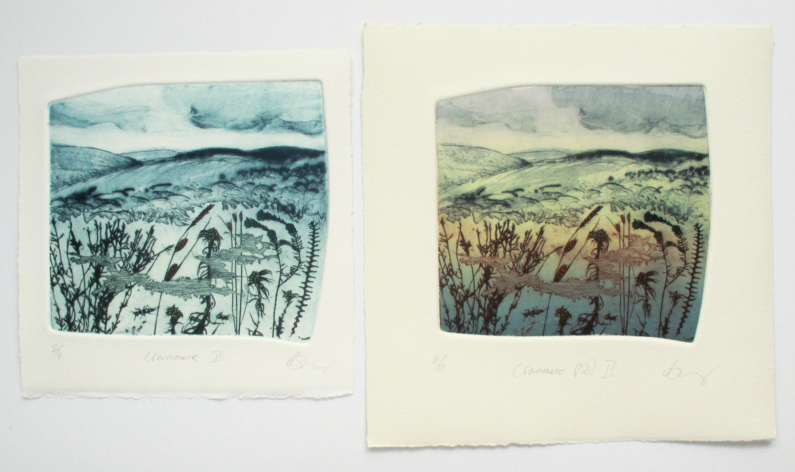 Full Colour Drypoint and Photo Etching of Dartmoor Landscape - Etsy