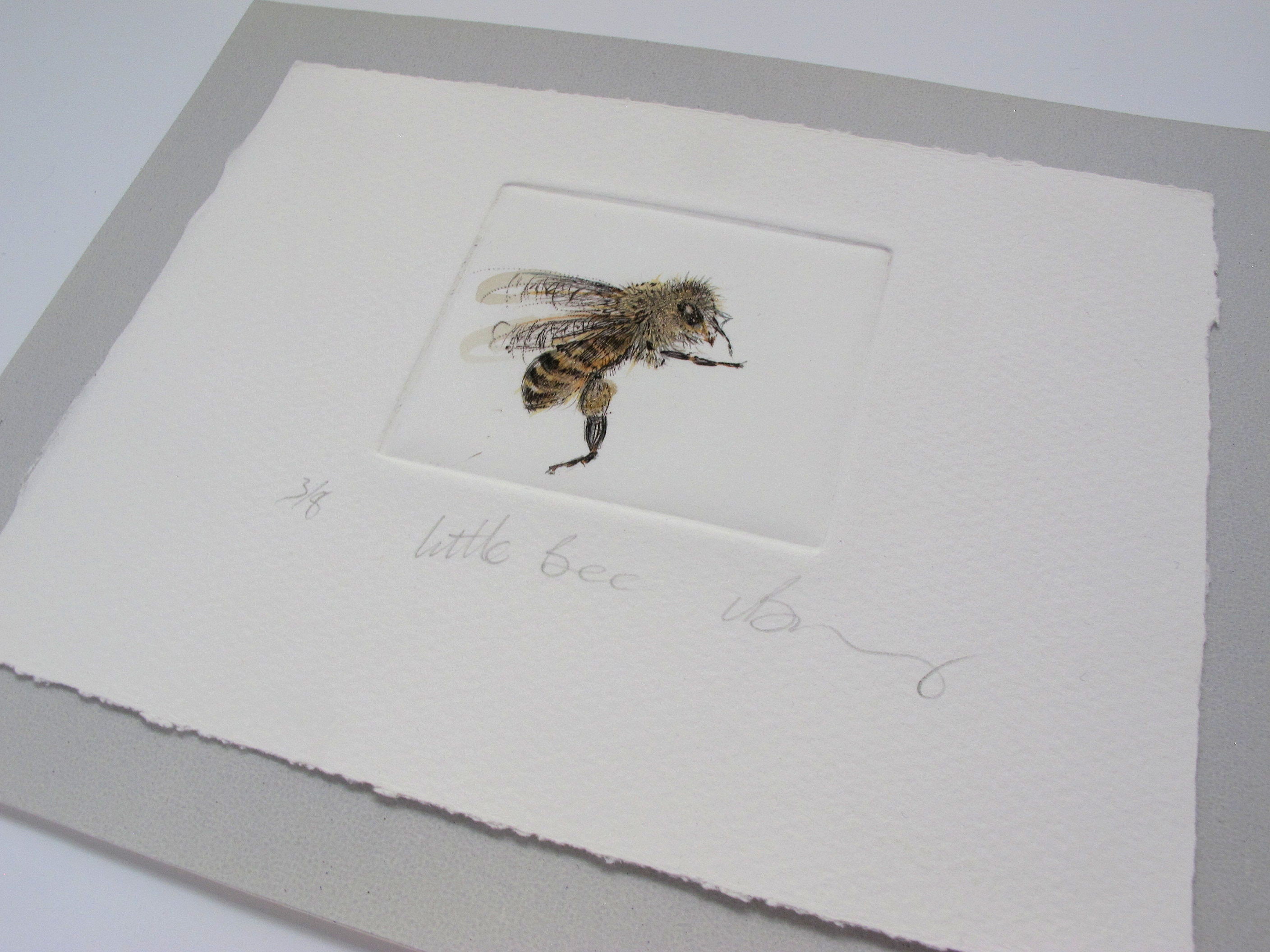 Little Bee. Drypoint Honey Bee Print - Etsy