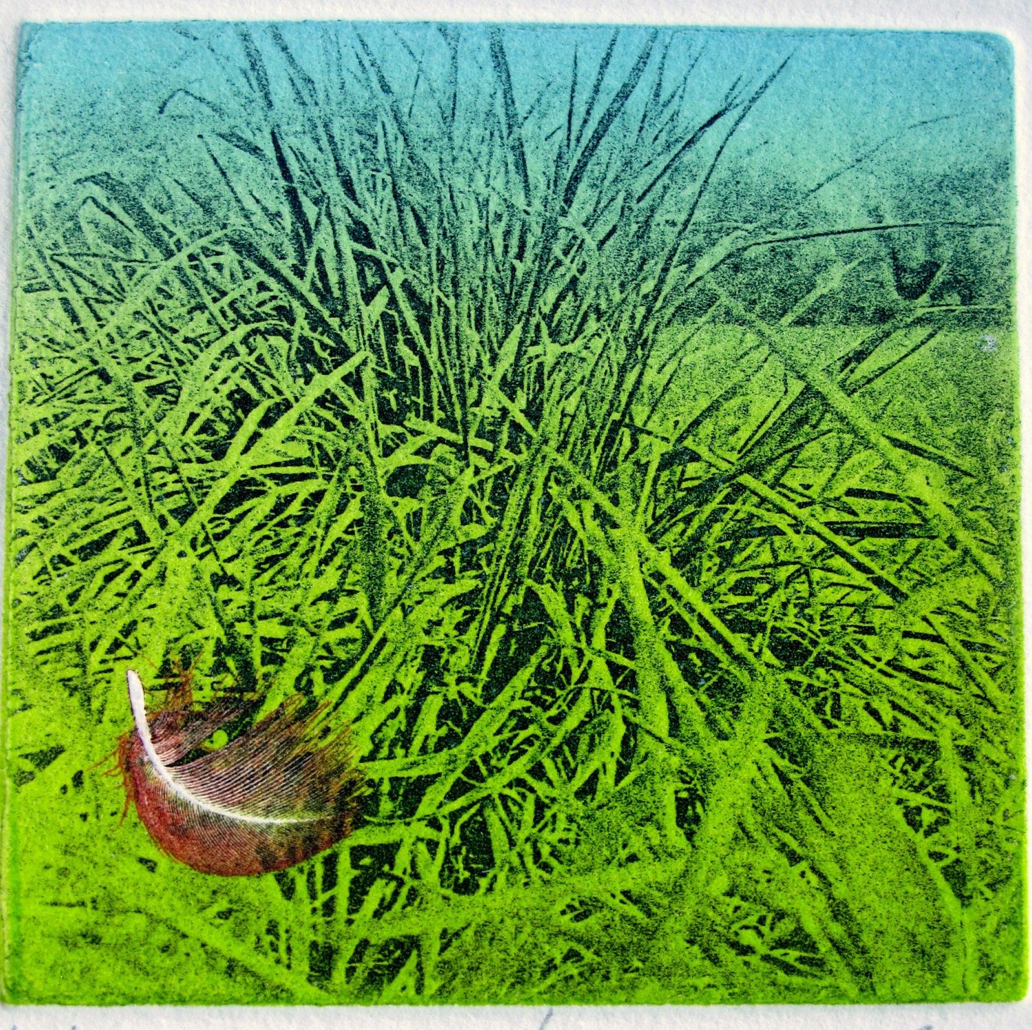 Fine Art Landscape / Feather Print. Photo Etching Mono Print.. - Etsy