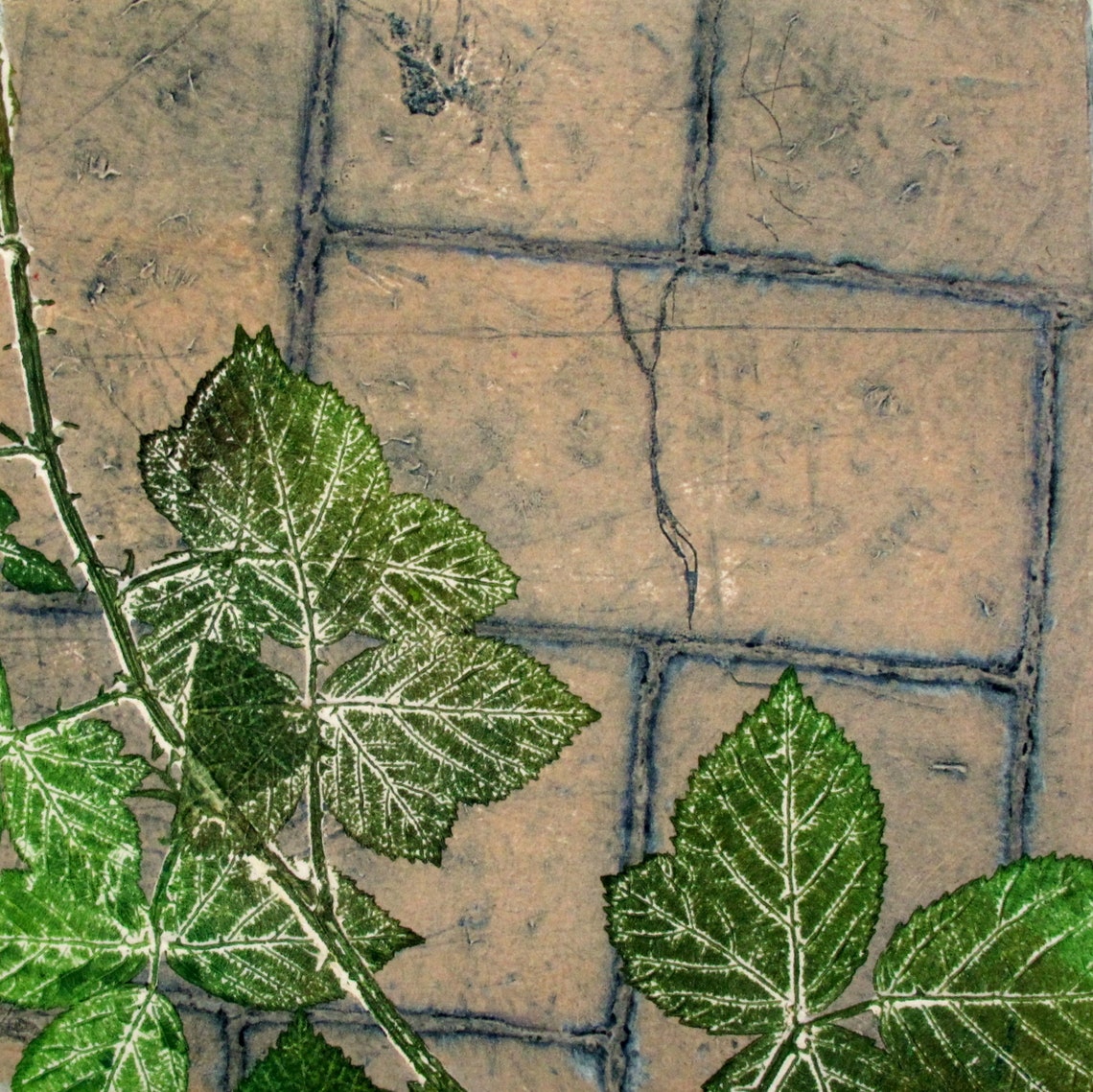 Collograph Mono Print. Botanical Nature, Paving Stones and Bramble ...