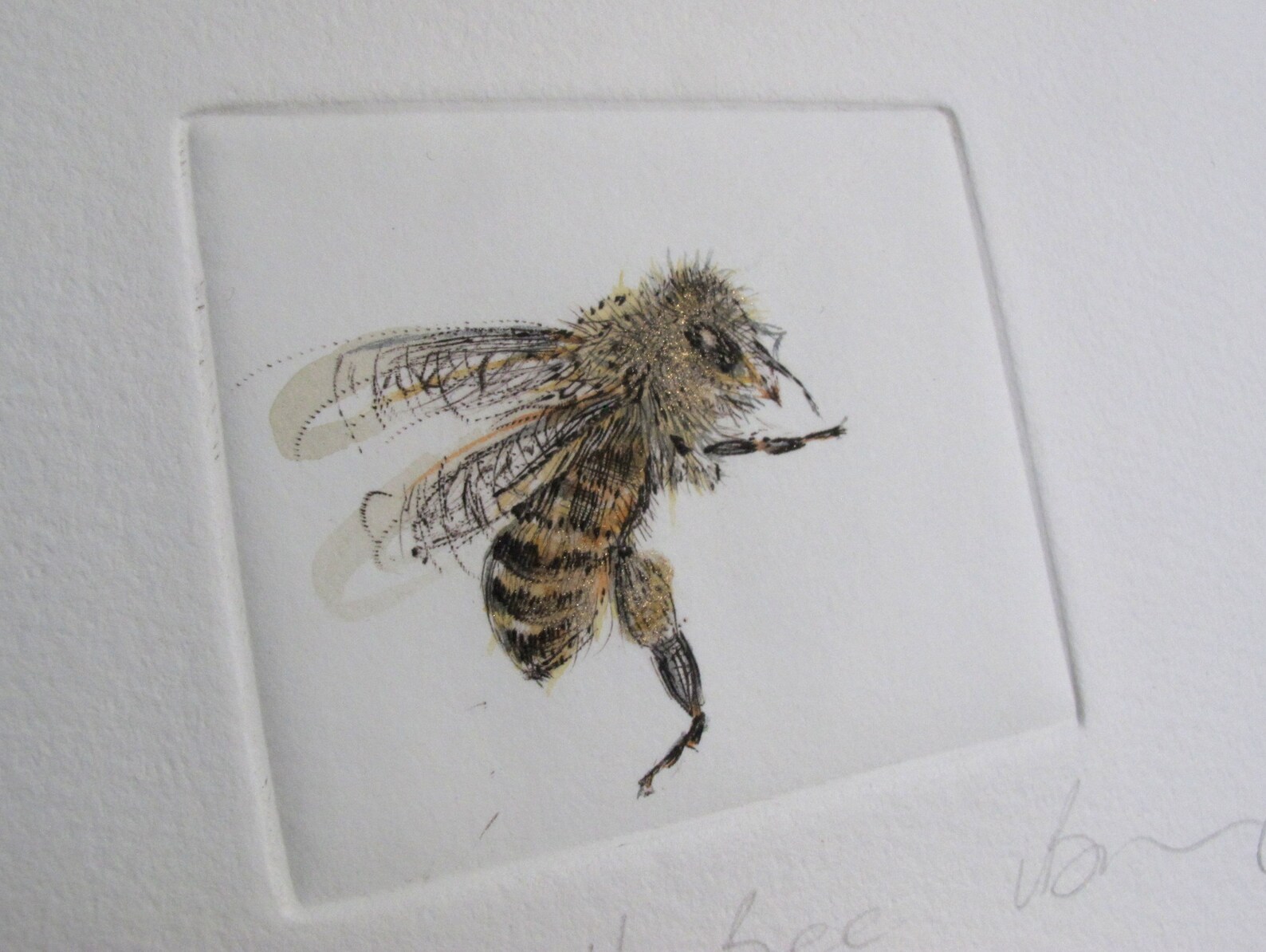 Little Bee. Drypoint Honey Bee Print - Etsy