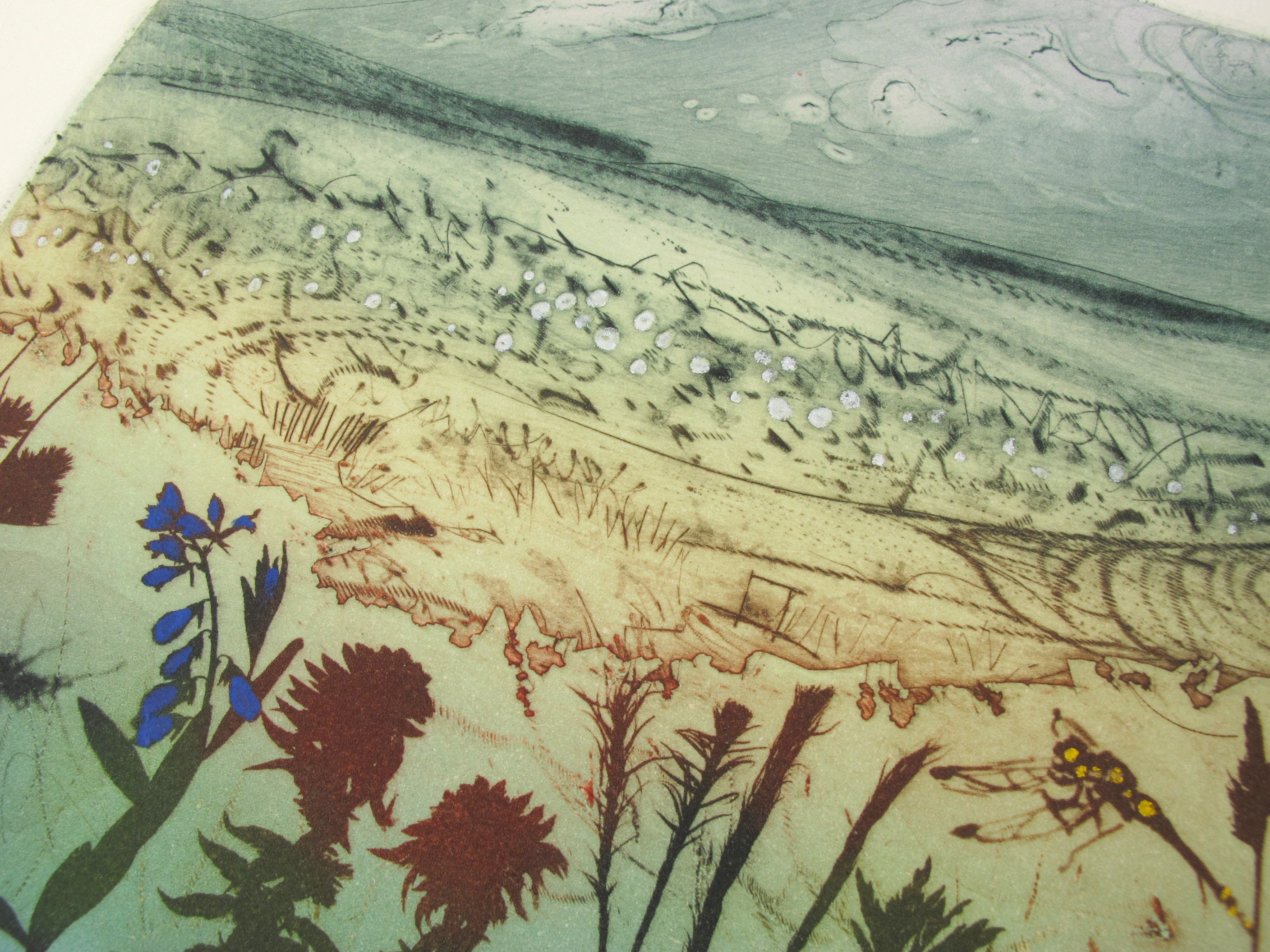 Cranmere Pool, Dartmoor Devon. Landscape Art of Devon Wildlife ...