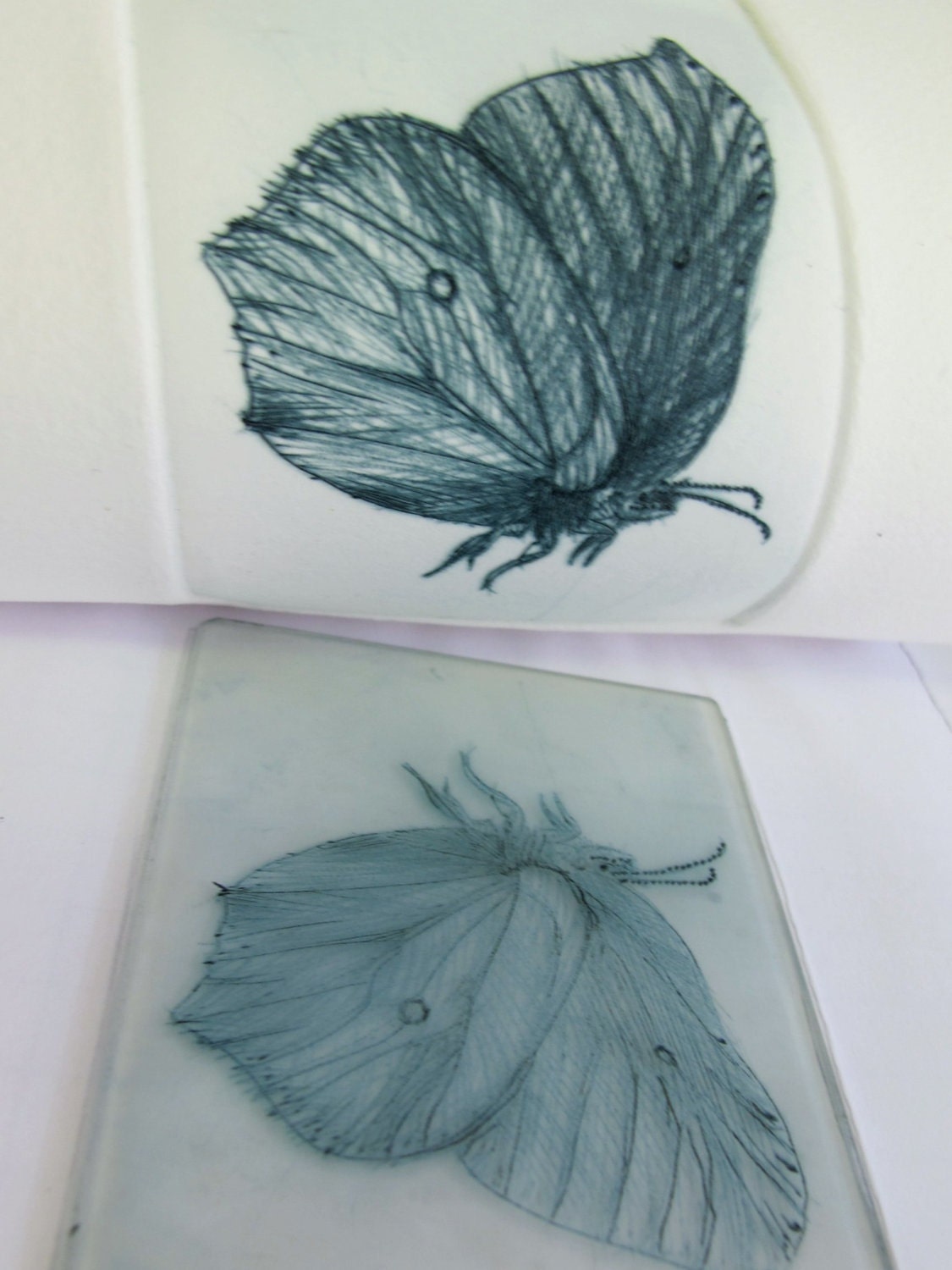 Drypoint Brimstone Butterfly. Cute Little Bug. Hand Printed on - Etsy
