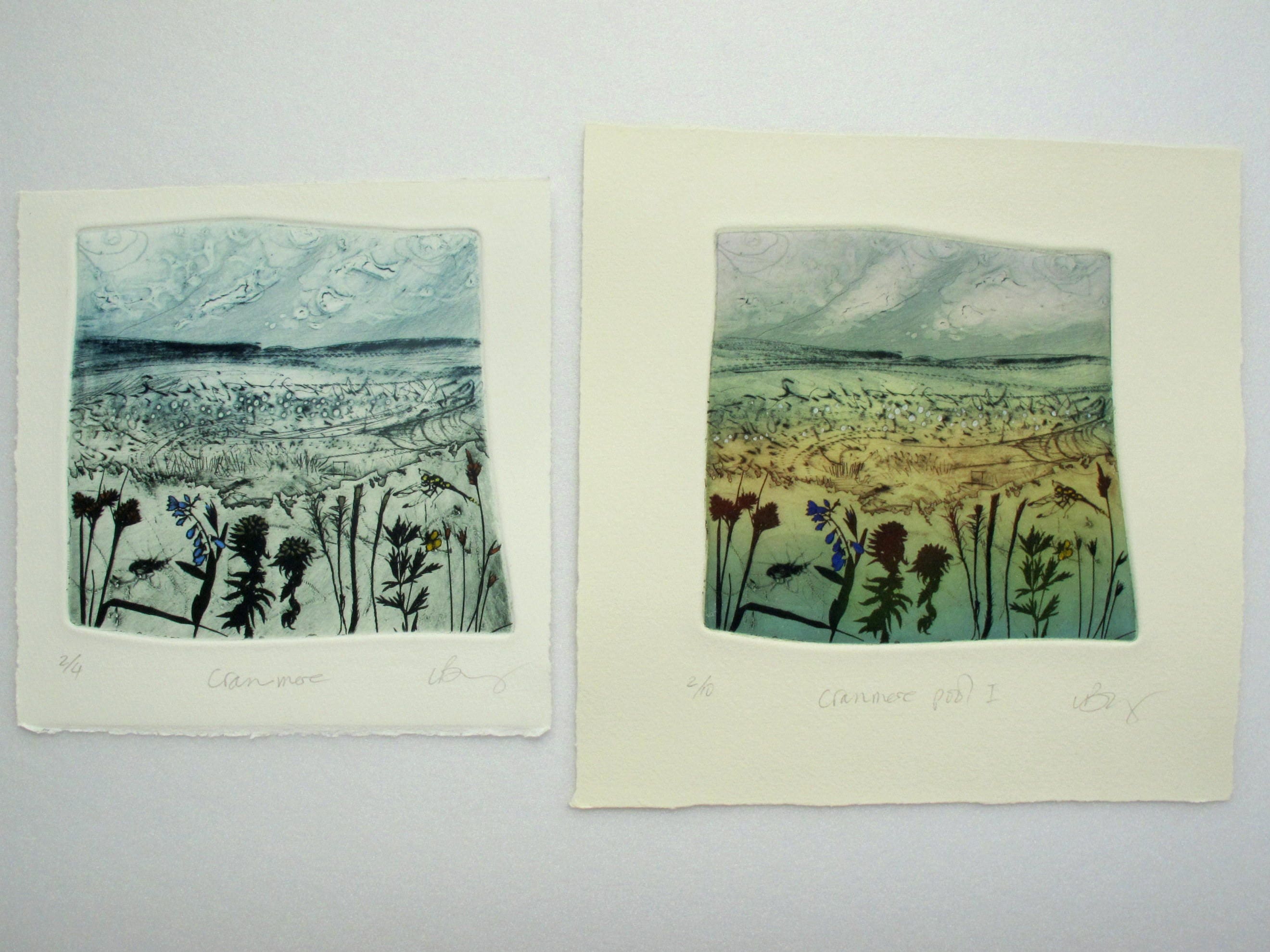 Cranmere Pool, Dartmoor Devon. Landscape Art of Devon Wildlife ...