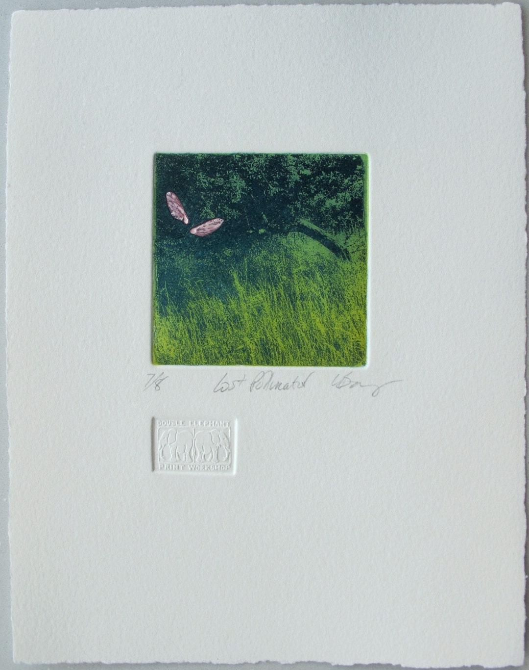 Apple Tree, Bees Wings, Photo Etching Mono Print. Hand Pulled Print ...