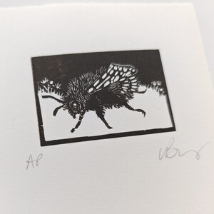 Bee Wood Engraving. Hand Pulled Print. Fine Art. - Etsy