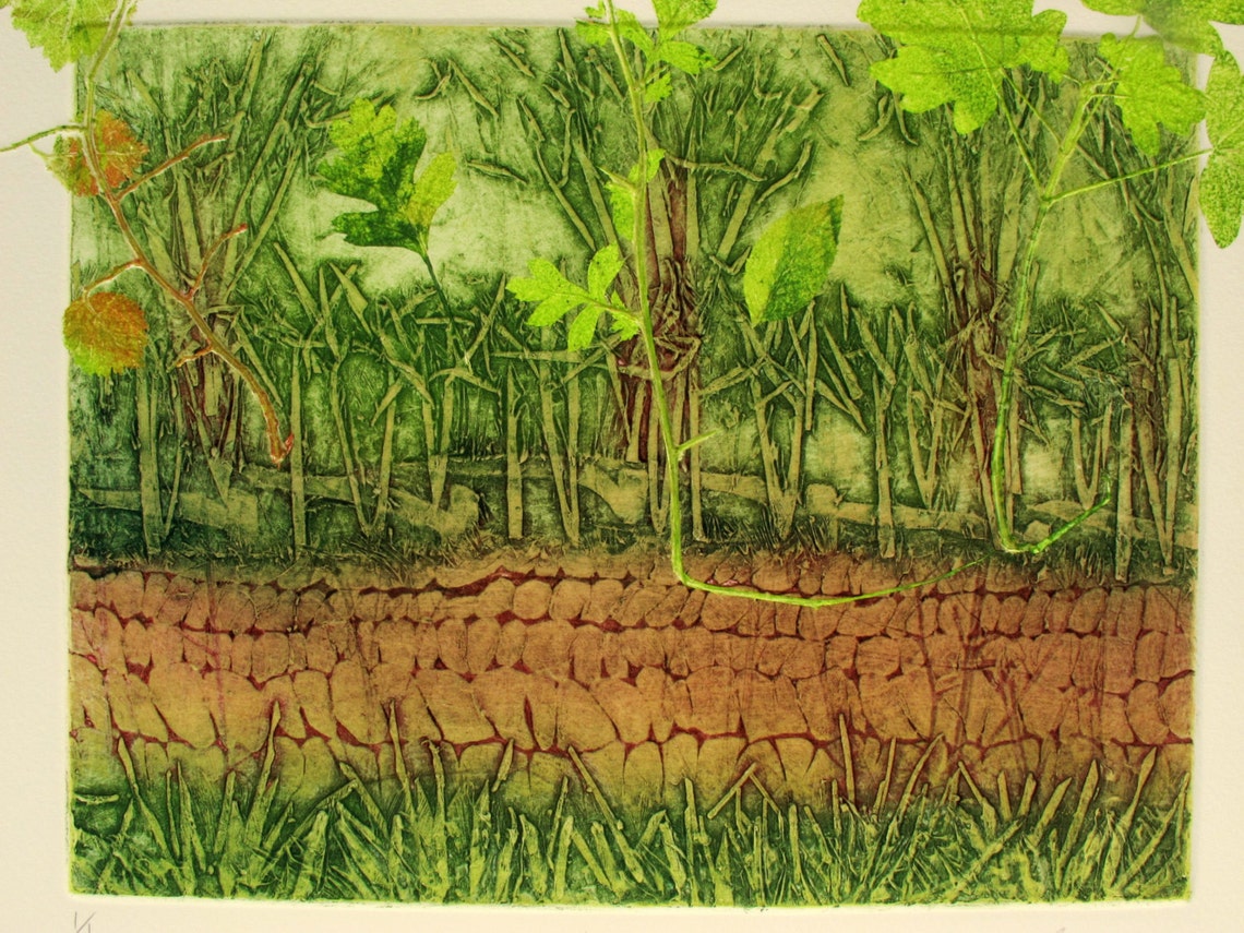 Fine Art Print. Devon Hedgerow Artwork. Collagraph Mono Print. Handmade ...