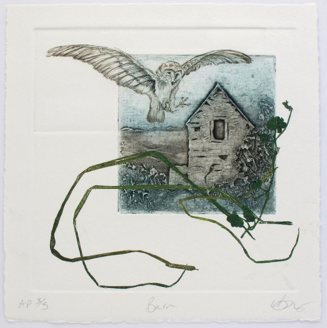 Barn Owl With Devon Barn. Collagraph, Drypoint and Monoprint - Etsy