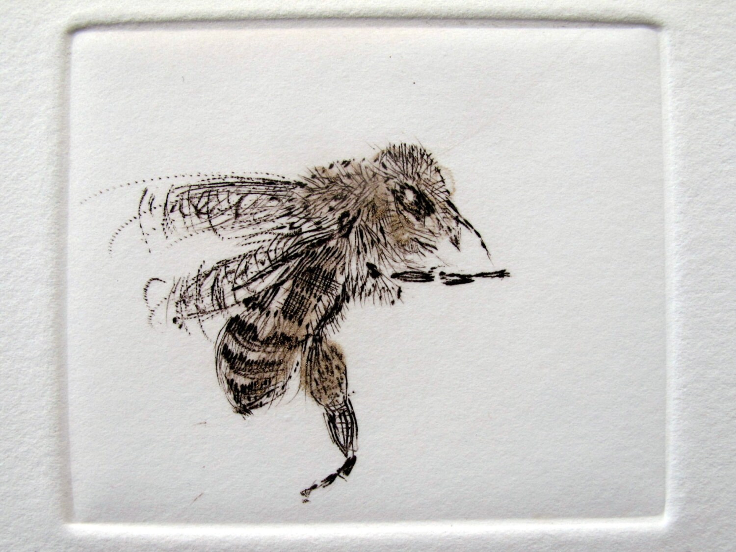 Little Bee. Drypoint Honey Bee Print | Etsy