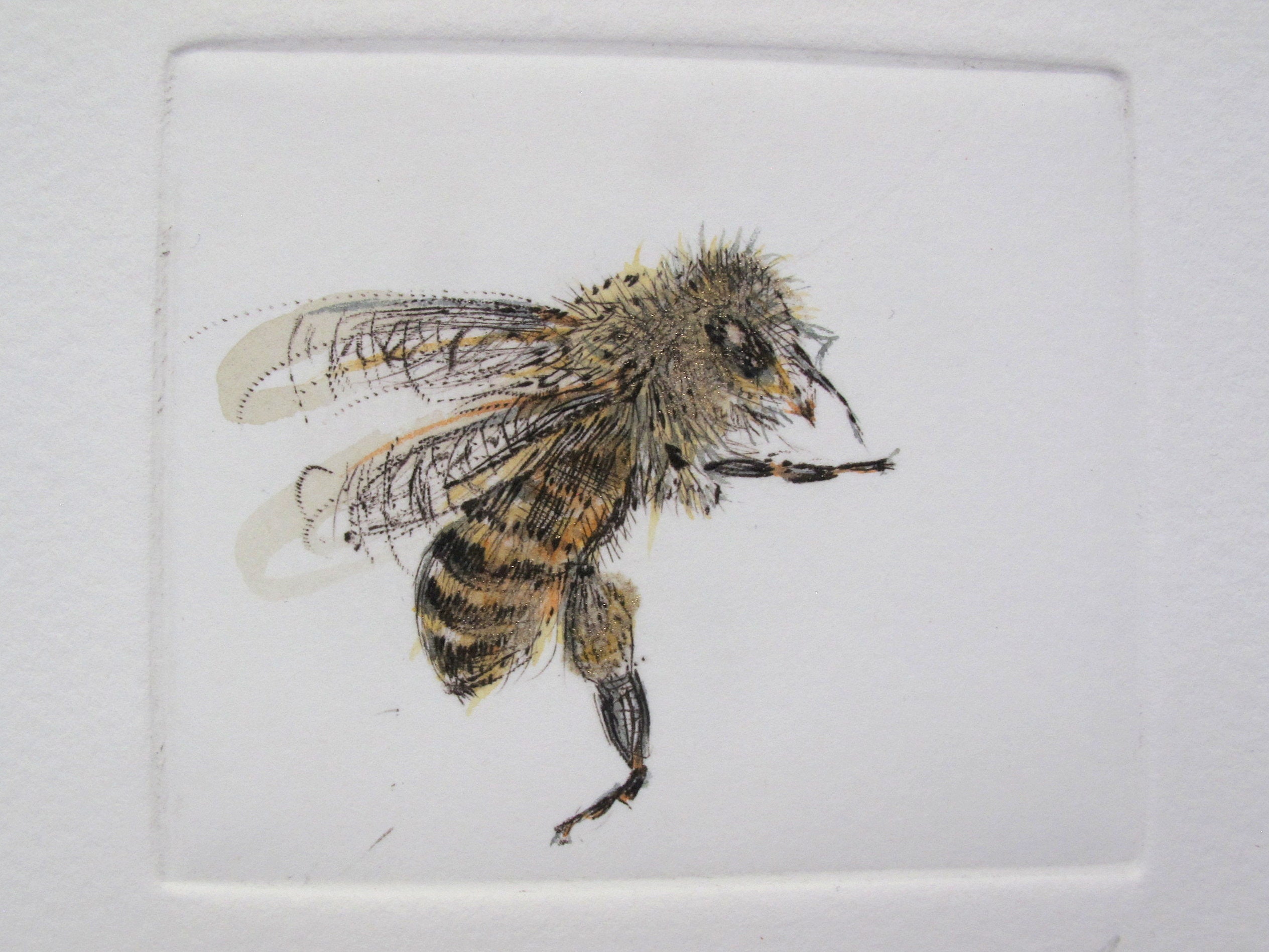Little Bee. Drypoint Honey Bee Print - Etsy