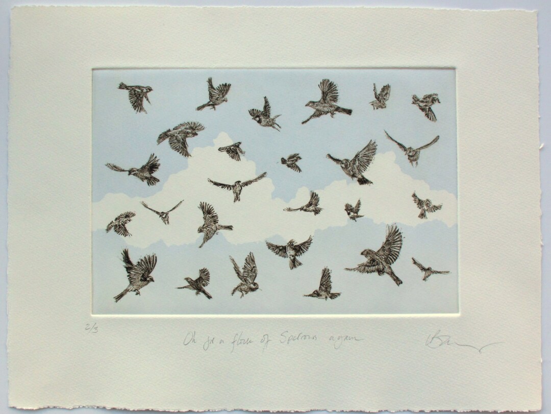 Flock of Sparrows. Fine Art Bird Print. Drypoint With Relief Ink. - Etsy
