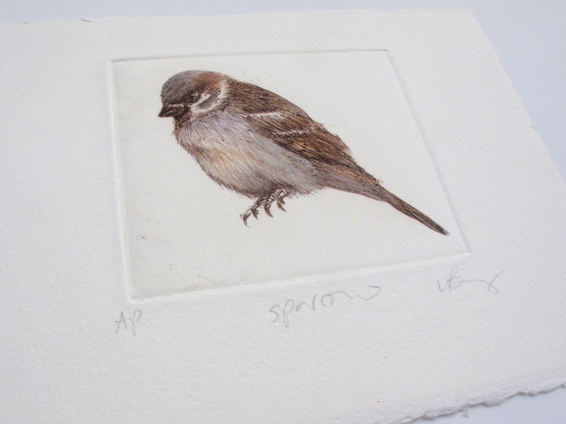 Bird Print Drypoint. Hedge Sparrow. Hand Printed and Hand - Etsy