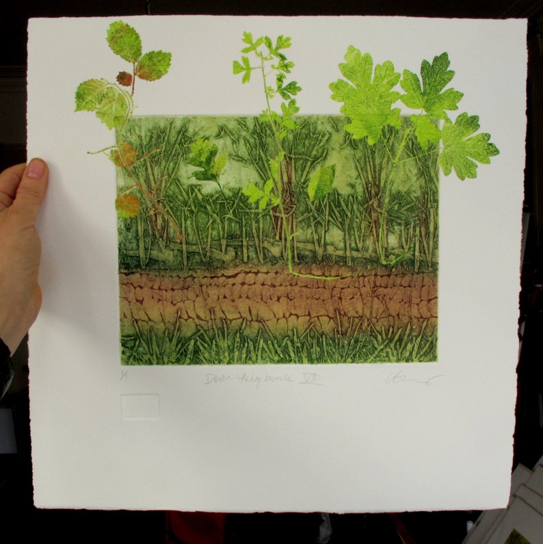 Fine Art Print. Devon Hedgerow Artwork. Collagraph Mono Print. Handmade ...