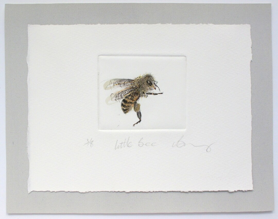 Little Bee. Drypoint Honey Bee Print - Etsy