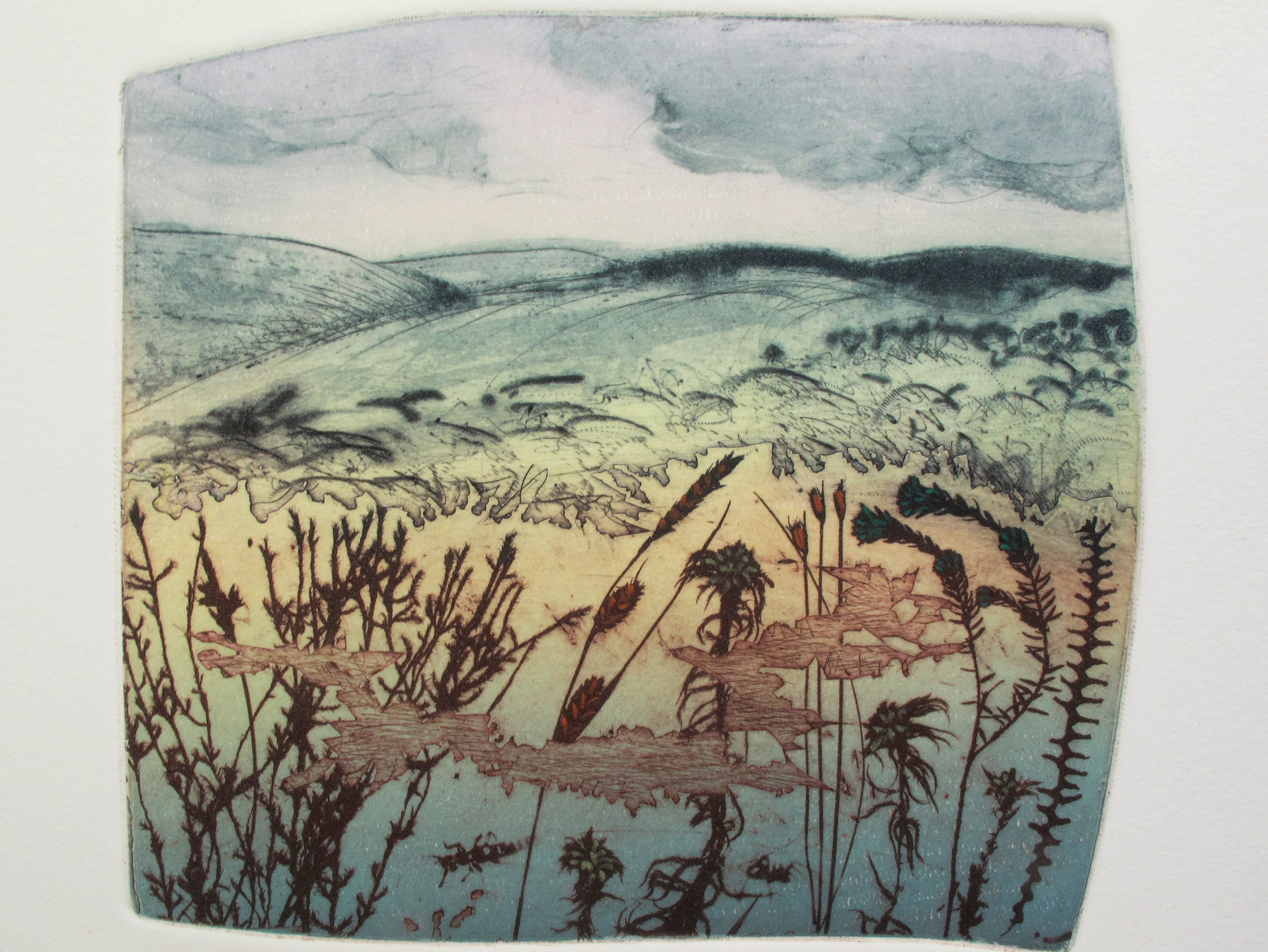 Full Colour Drypoint and Photo Etching of Dartmoor Landscape - Etsy