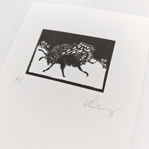 Bee Wood Engraving. Hand Pulled Print. Fine Art. - Etsy