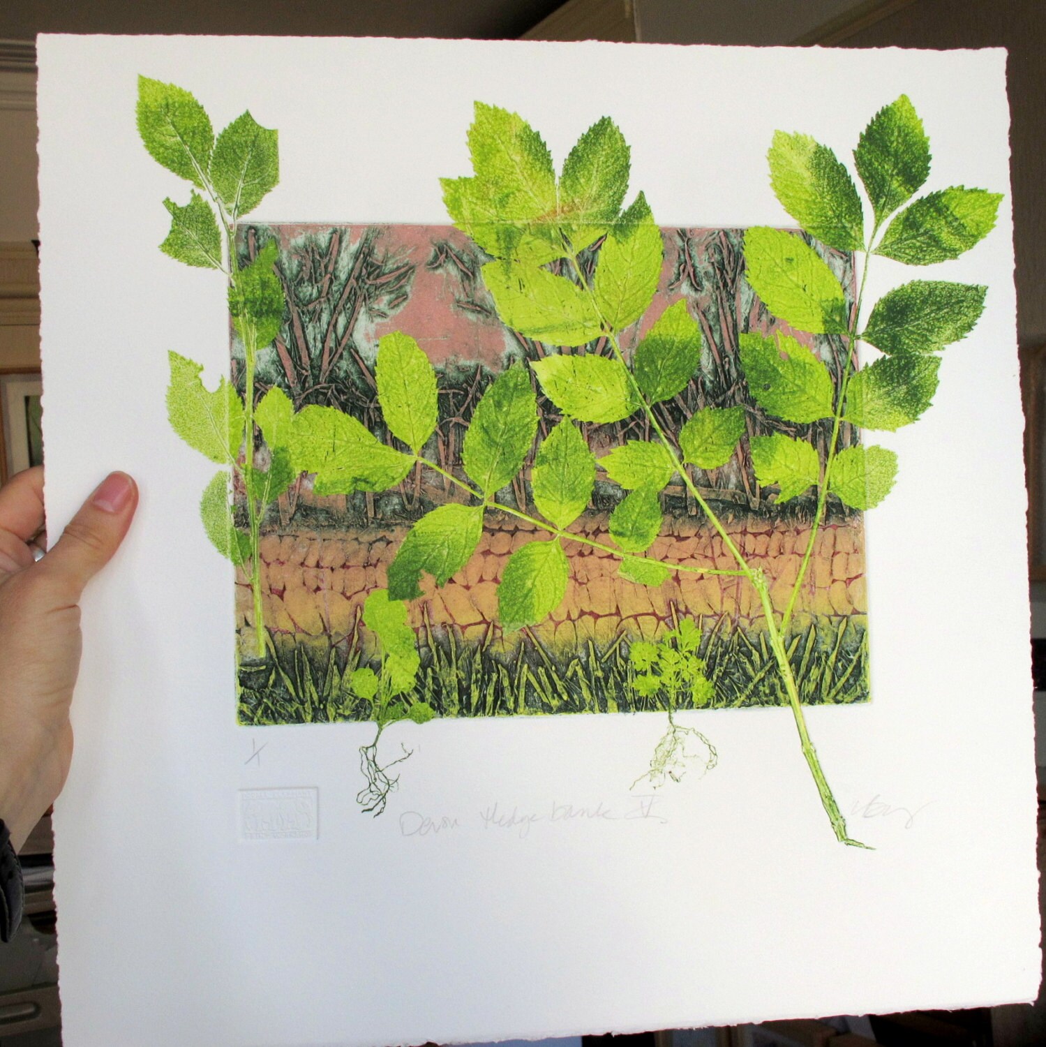 Devon Hedgerow Botanical Print. Unique Artwork - Etsy