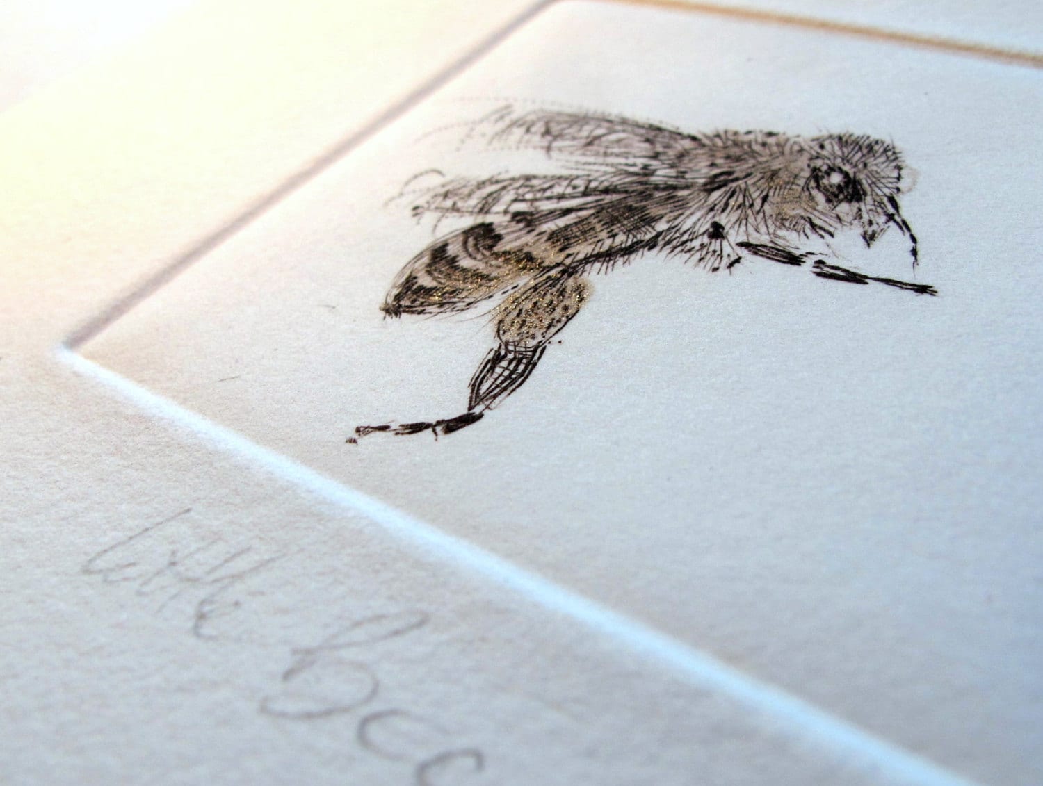 Little Bee. Drypoint Honey Bee Print | Etsy