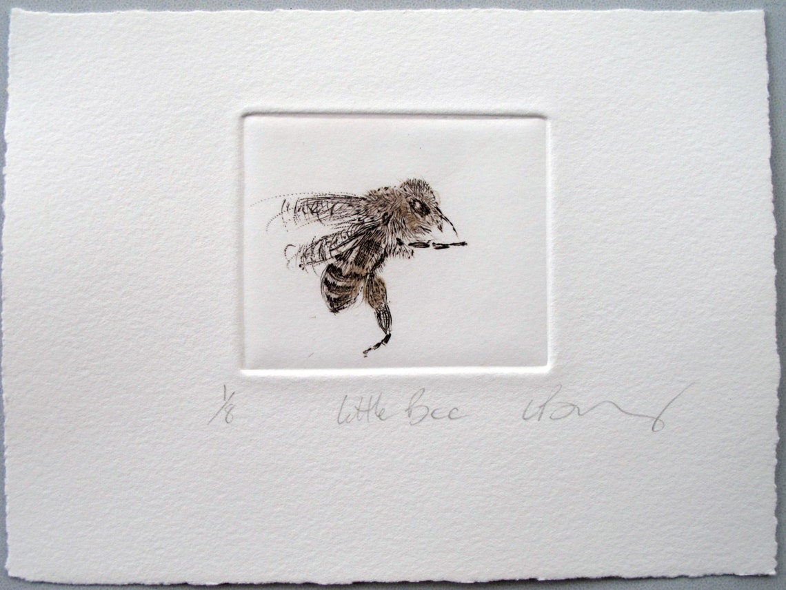 Little Bee. Drypoint Honey Bee Print | Etsy