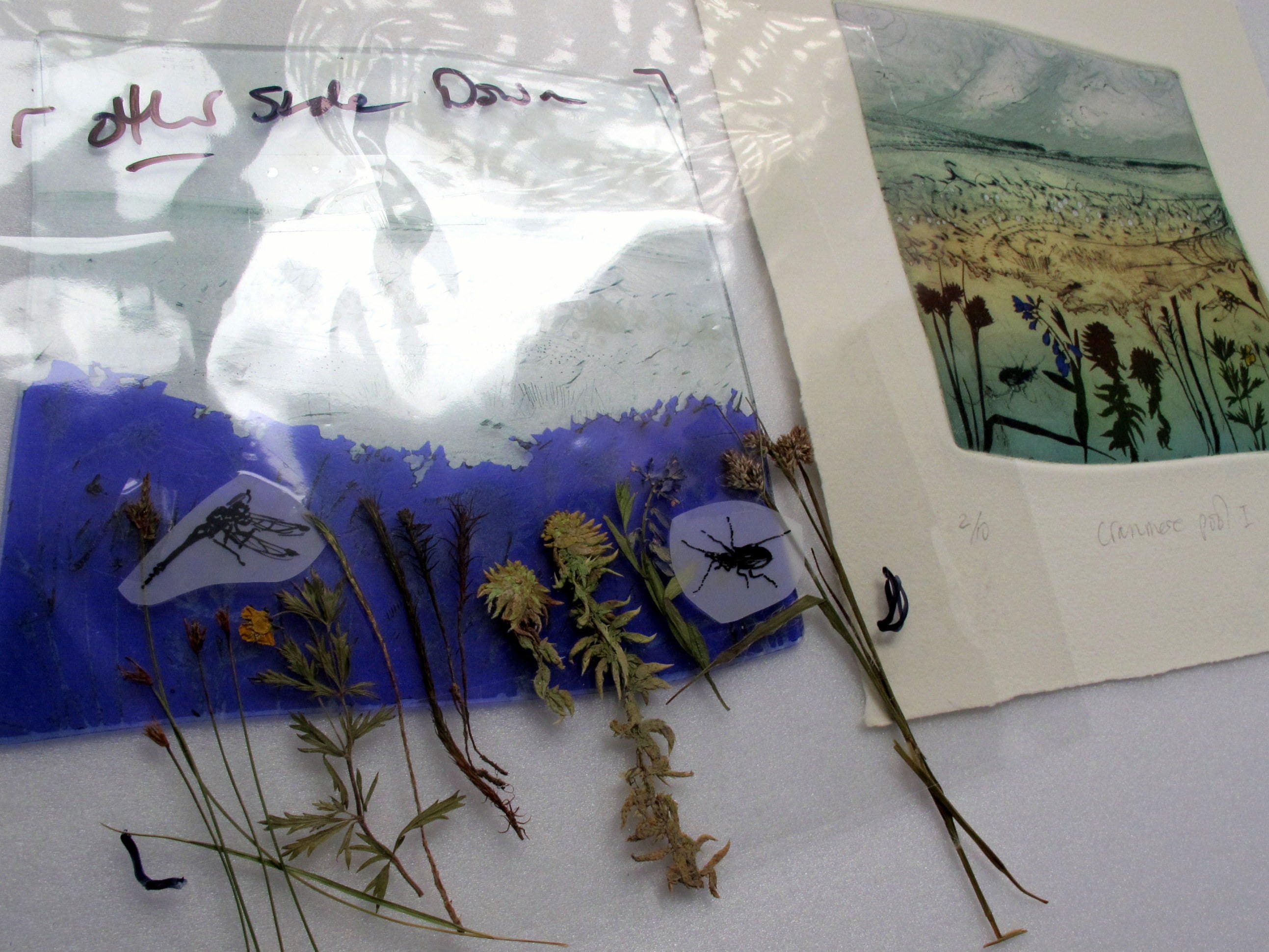 Cranmere Pool, Dartmoor Devon. Landscape Art of Devon Wildlife ...