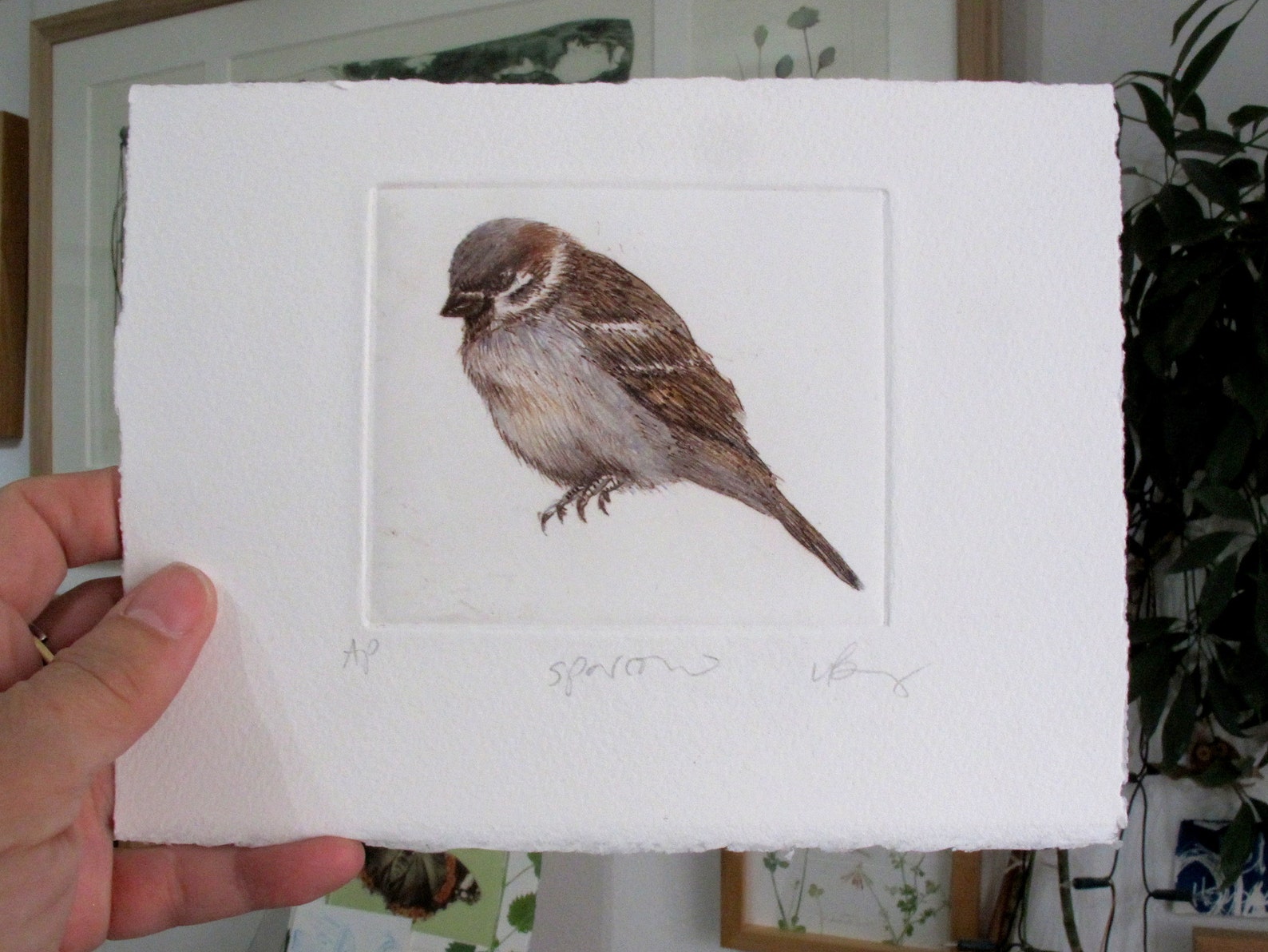Bird Print Drypoint. Hedge Sparrow. Hand Printed and Hand - Etsy