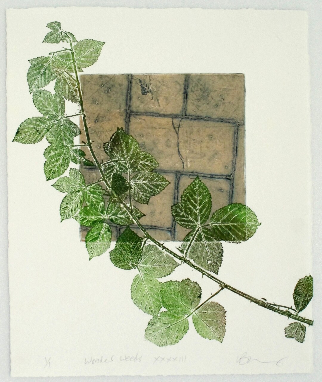 Collograph Mono Print. Botanical Nature, Paving Stones and Bramble ...