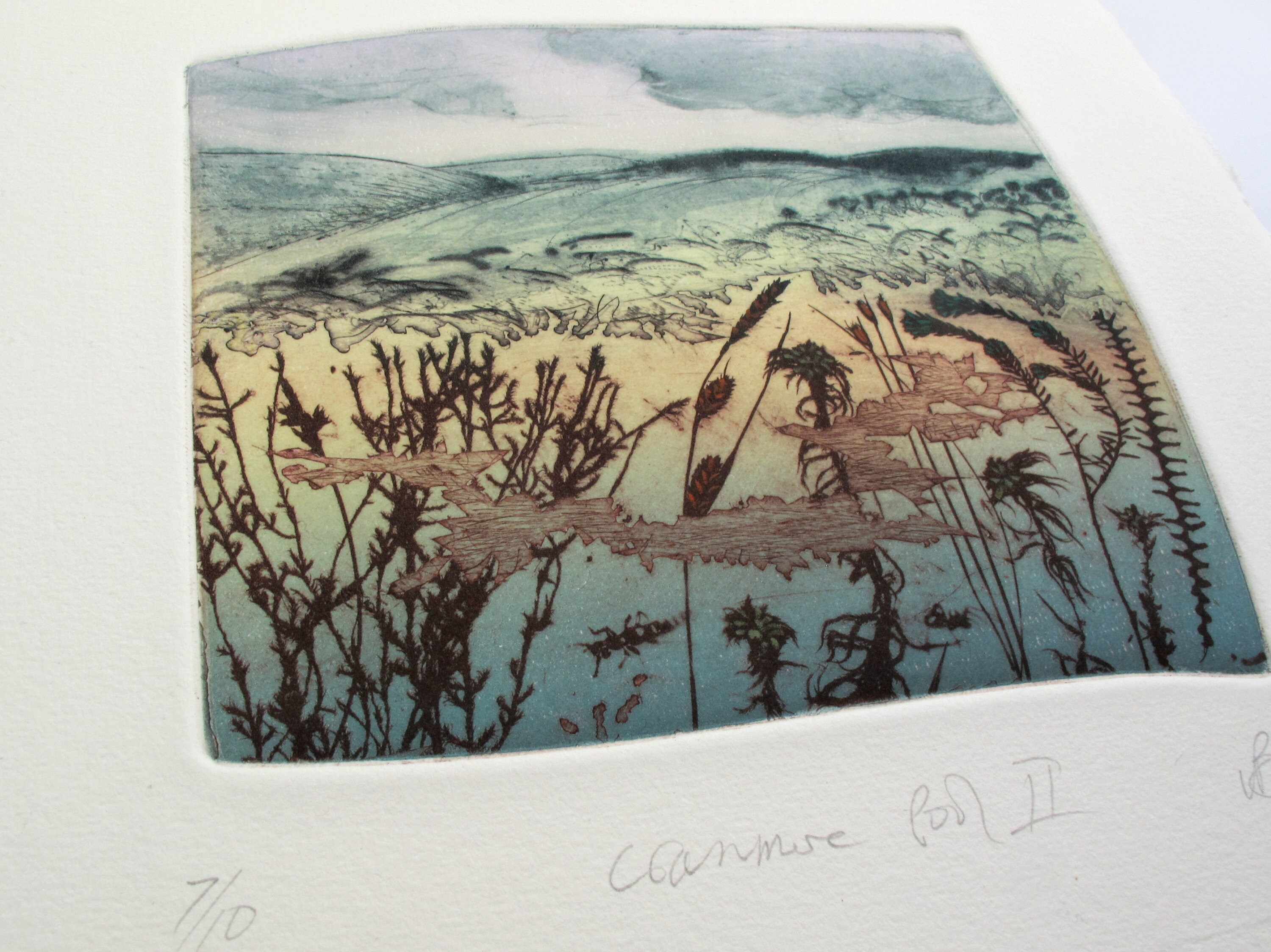Full Colour Drypoint and Photo Etching of Dartmoor Landscape - Etsy
