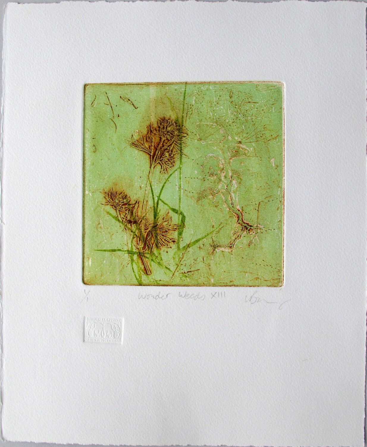 Botanical Print. Collograph Mono Print. Wild Flower. Hand Printed OOAK ...