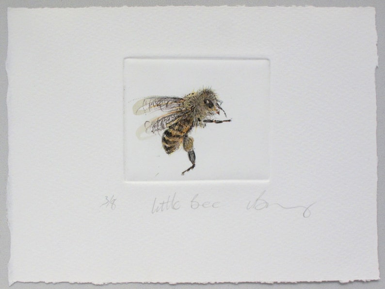 Little Bee. Drypoint Honey Bee Print - Etsy