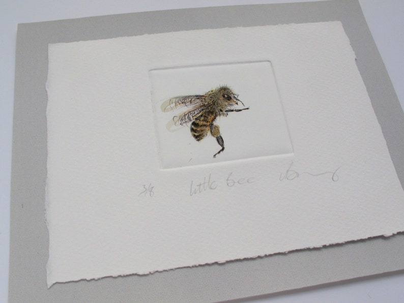 Little Bee. Drypoint Honey Bee Print - Etsy