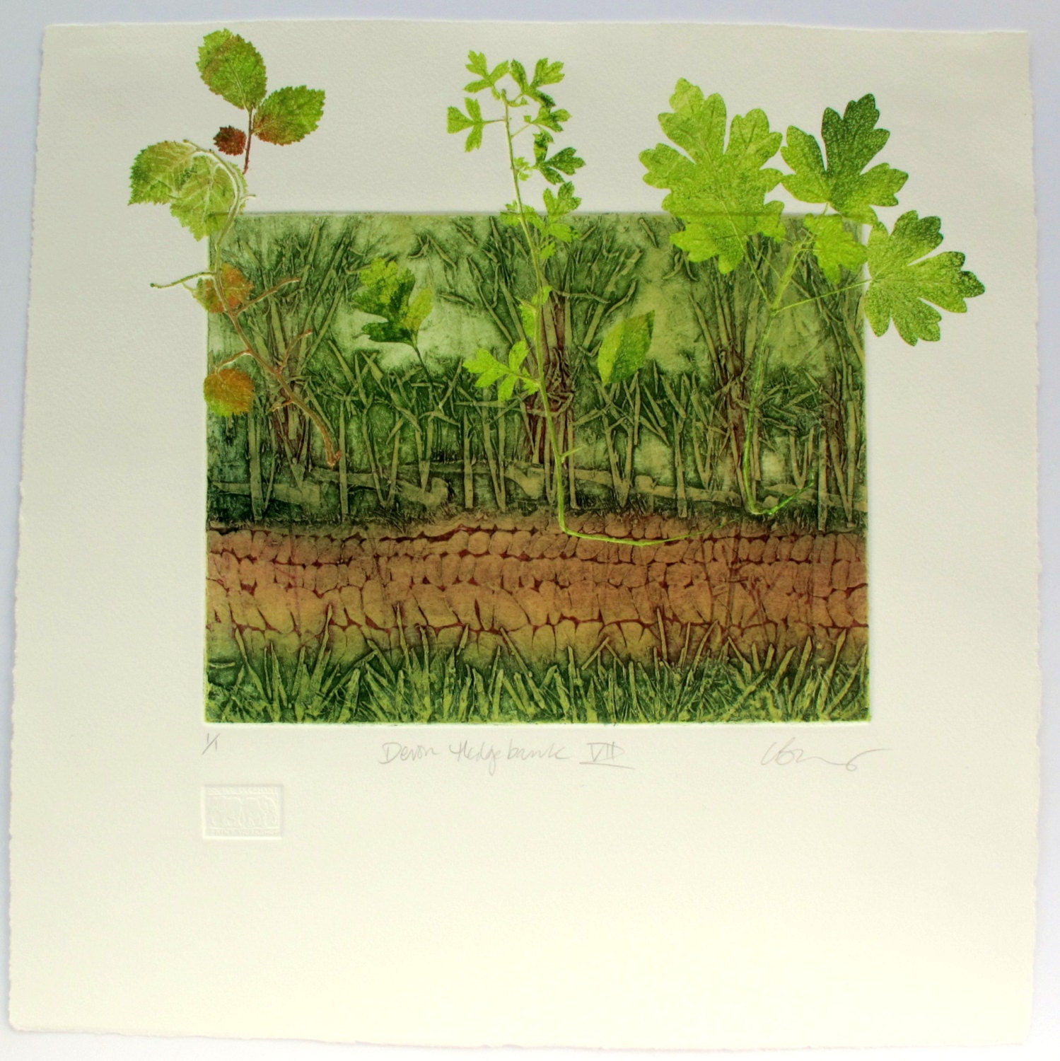 Fine Art Print. Devon Hedgerow Artwork. Collagraph Mono Print. Handmade ...
