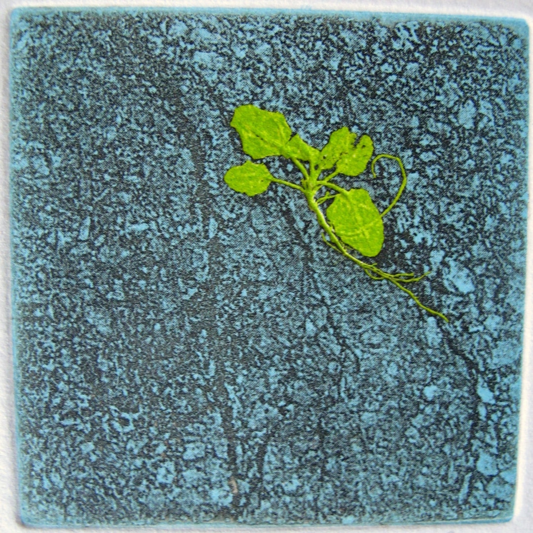 Photo Etching Mono Print. Plucky Weed, Handmade Print, Limited Edition ...